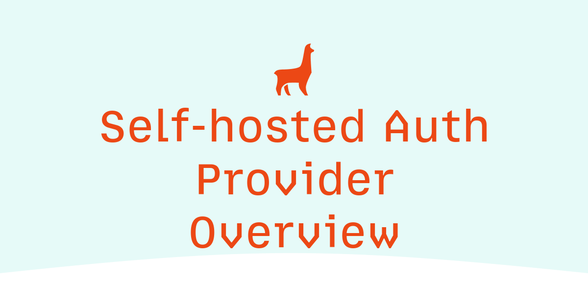 Self-hosted Auth Provider Overview | TinaCMS Docs